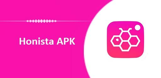 Exploring the Honista Spectrum – Light Mode, Dark Mode, and Beyond ...